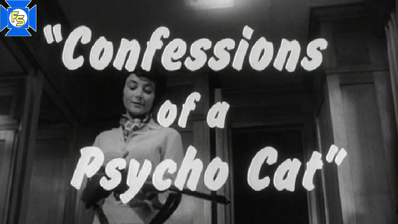 B Movie Challenge: Confessions of a Psycho Cat > Fandom Spotlite