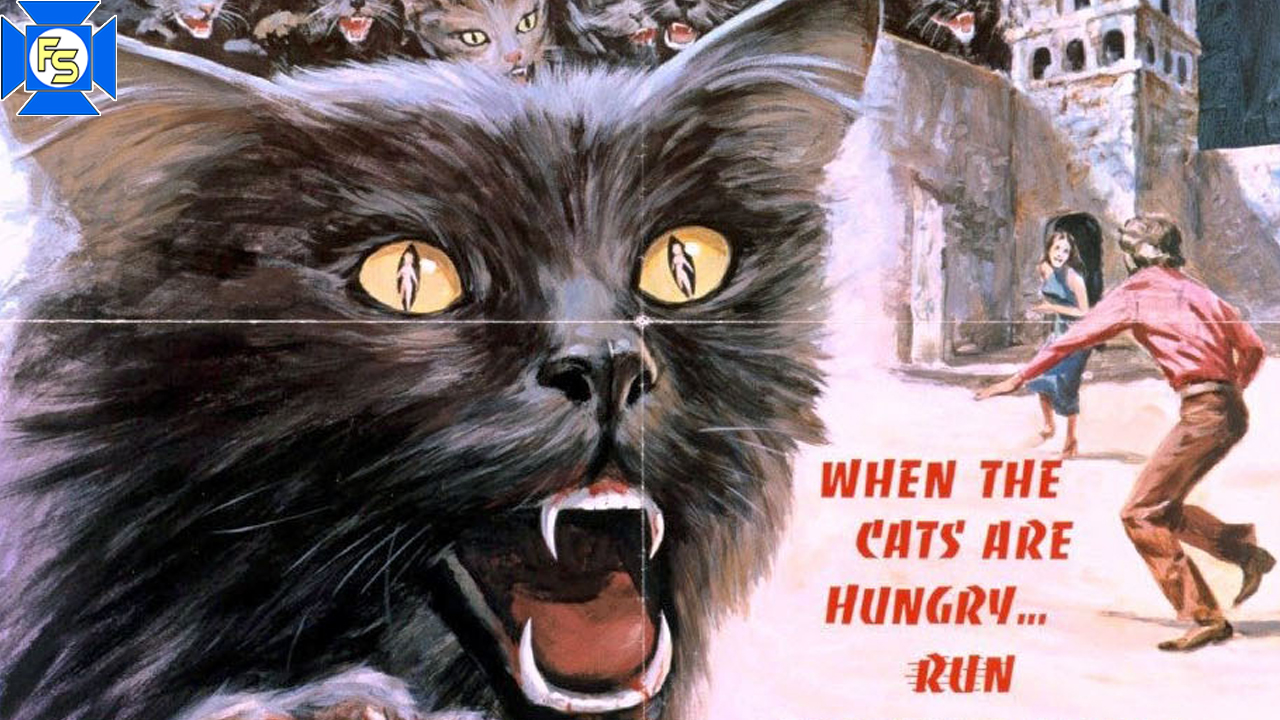 B Movie Challenge: Night of a Thousand Cats > Fandom Spotlite